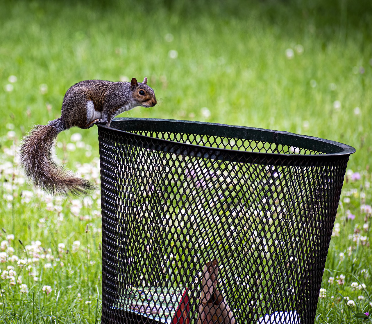 Dust Bins – Statioanry Store